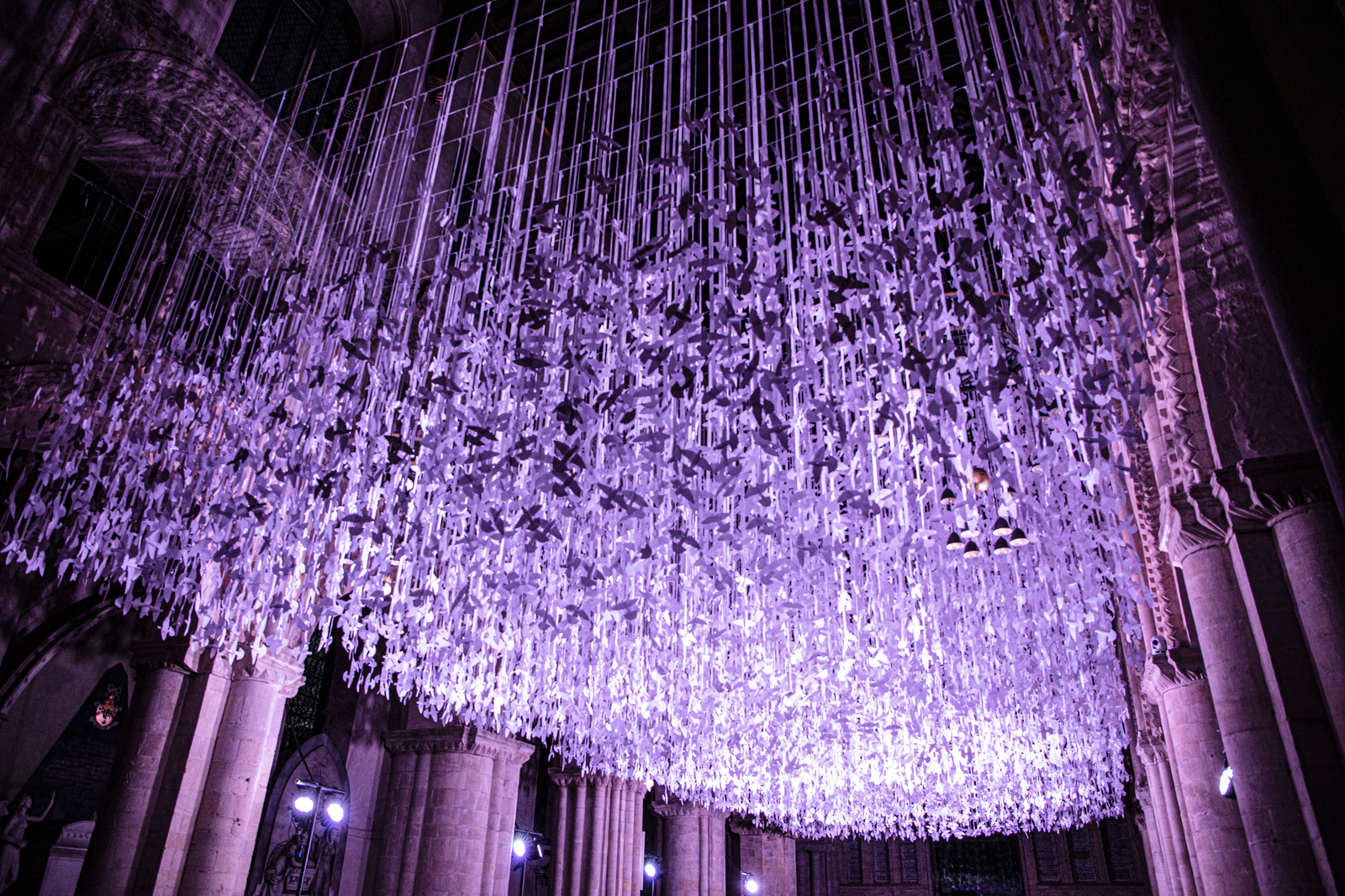 Peace Doves | Chichester Cathedral